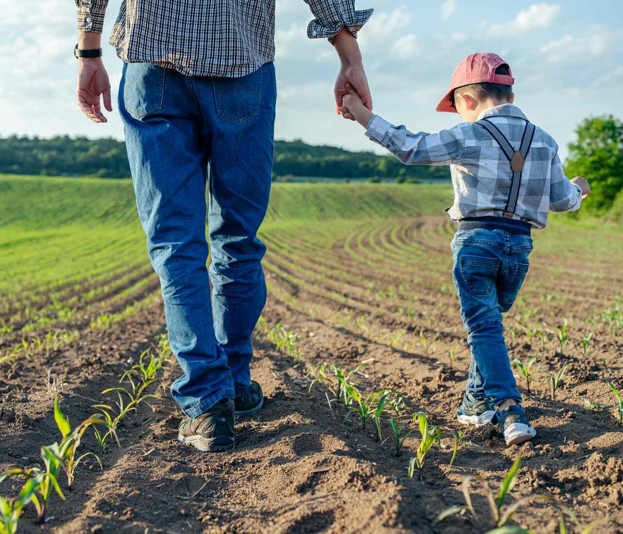 Generate Upcycle - sustainability & waste management solutions